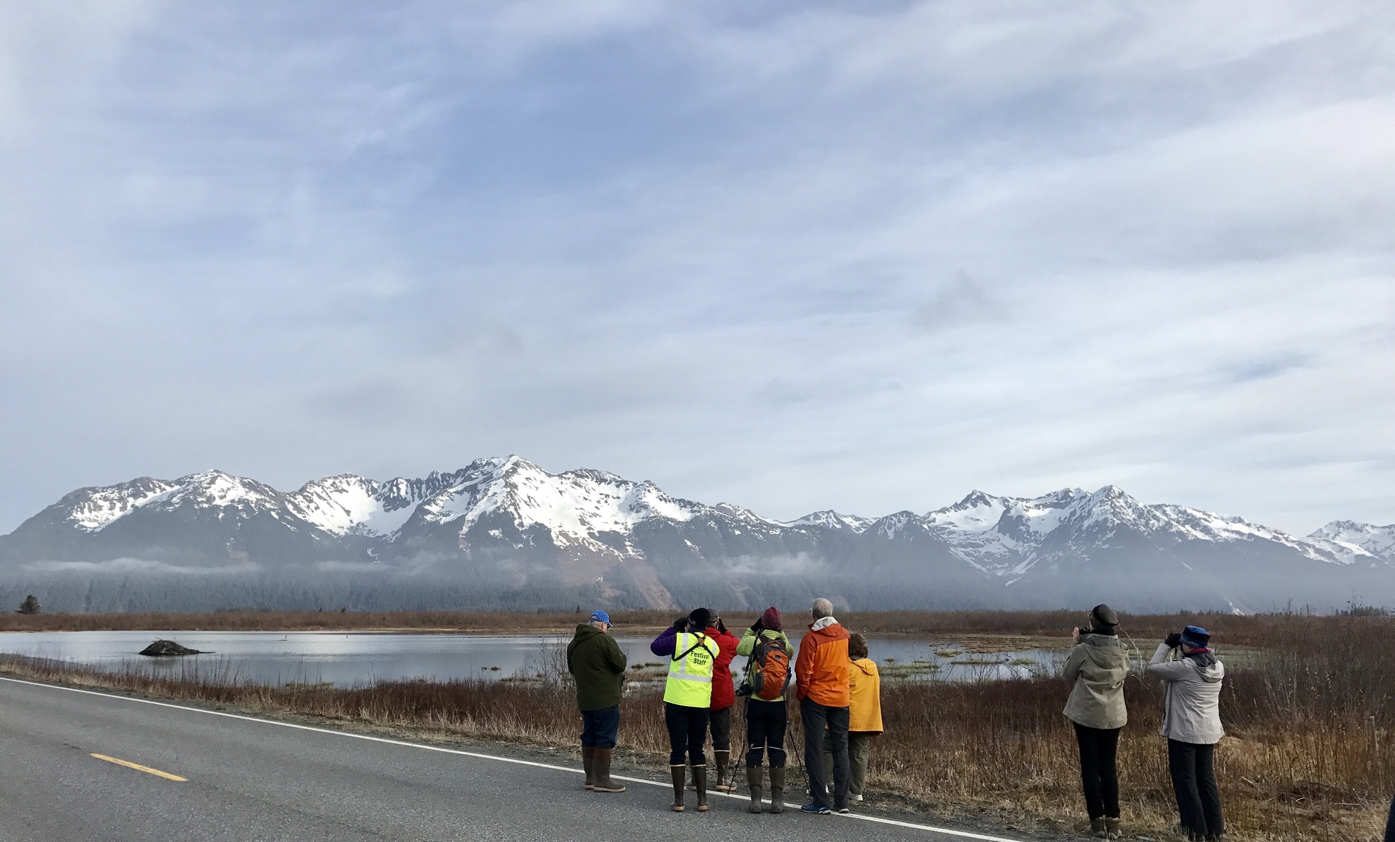 Birds, salmon and energy storage: Going 100-percent renewable in Alaska ...