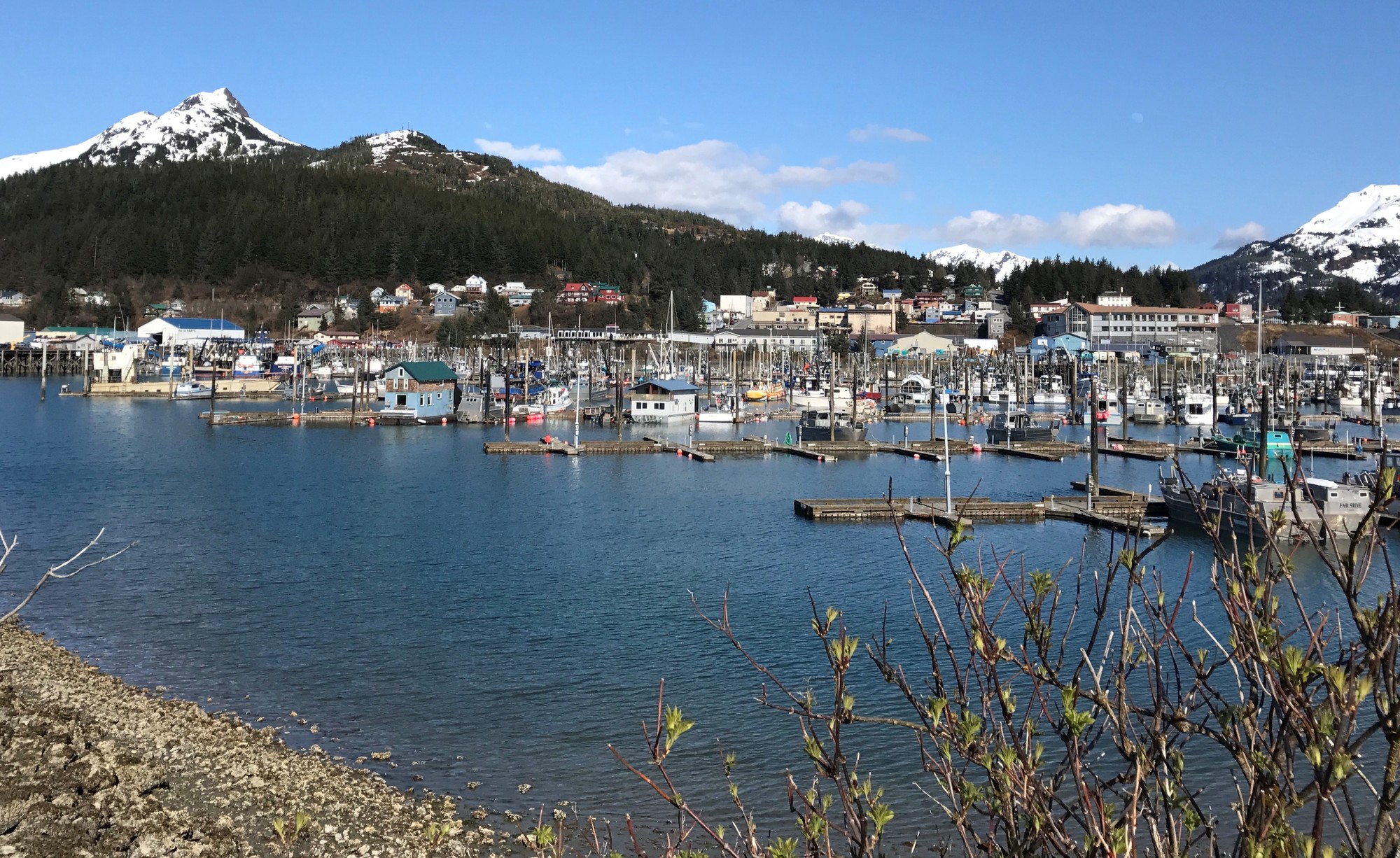 Birds, salmon and energy storage: Going 100-percent renewable in Alaska ...